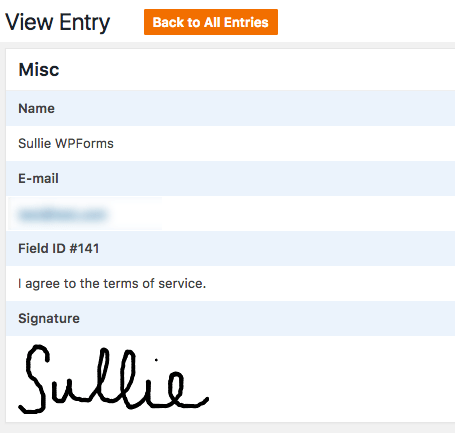 Create a WordPress Form with Signature Field (3 Easy Steps)