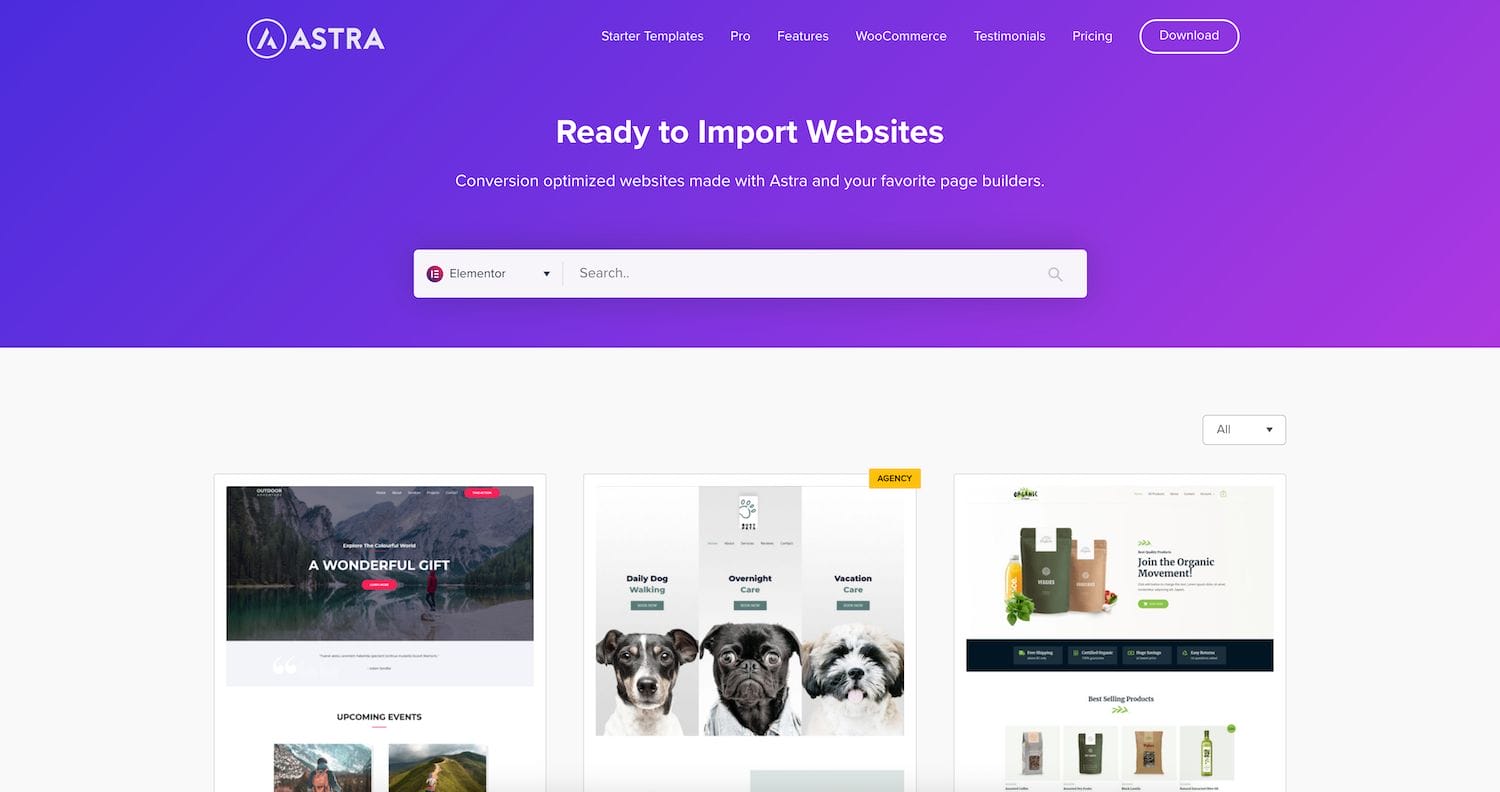 10 Reasons Why Astra is the Best WooCommerce Theme (2025)